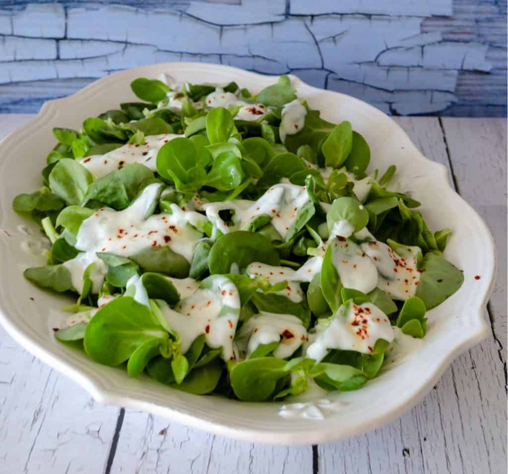 Yoğurtlu Semizotu Salatası | Sibel Yalçın